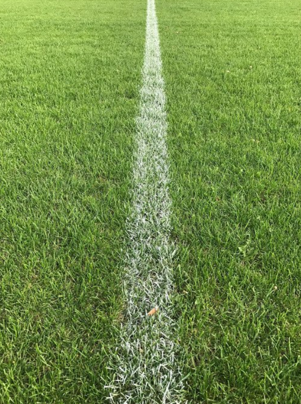 Sēklu maisījums zālienam - Super biezais Sports 10 kg, Krastmaļi sēklas ...