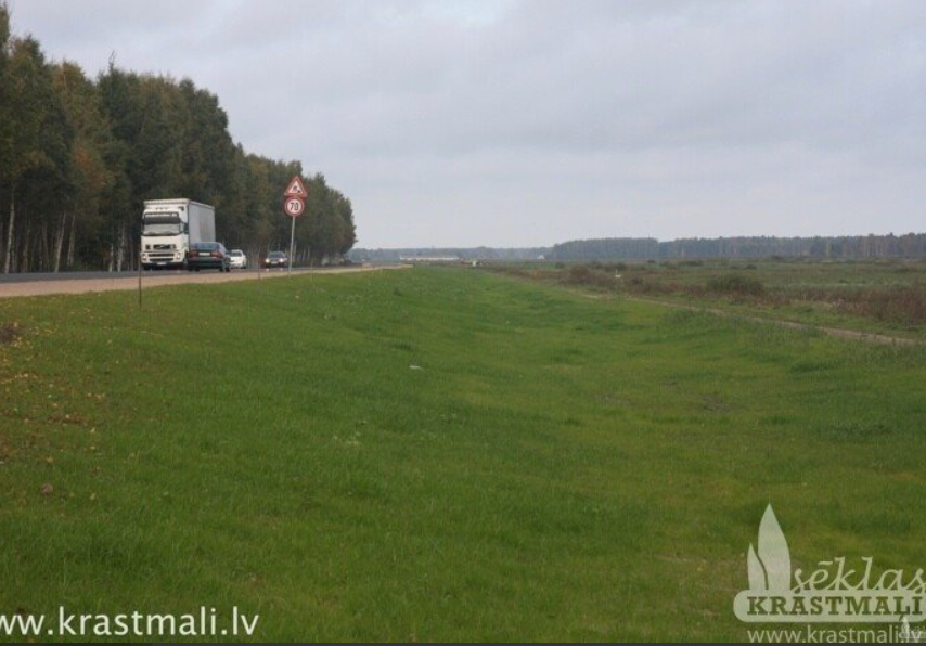 Sēklu maisījums zālienam - Apzaļumotājs 5 kg, Krastmaļi sēklas ...
